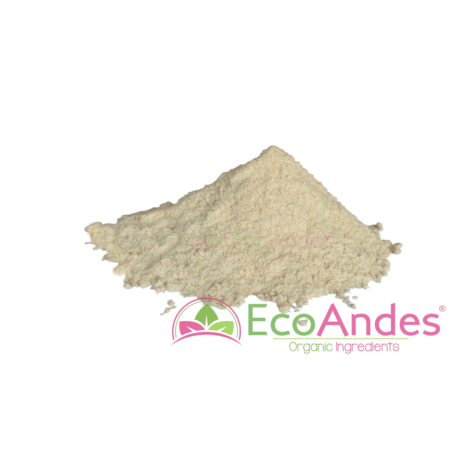 Harina de Teff • EcoAndes